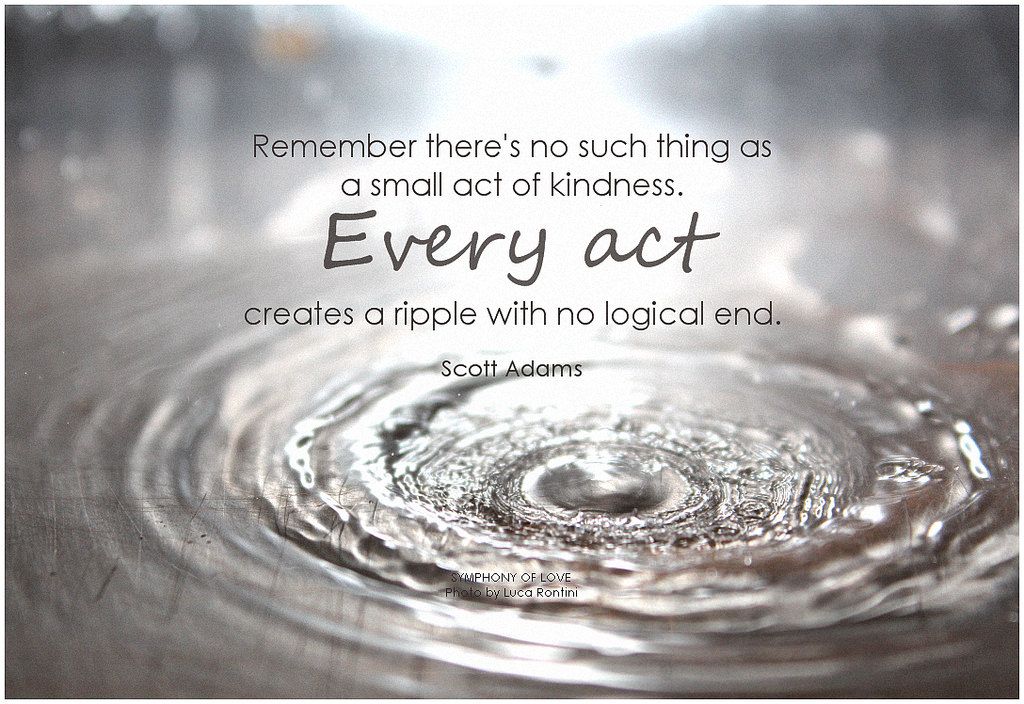 Even Small Actions Can Have A Great Ripple Effect SANCHILD Foundation